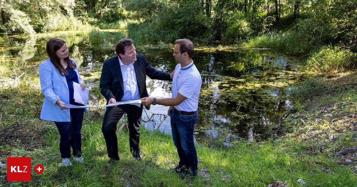 Maßnahmen abgeschlossen: Nörsacher Teich wurde um 380.000 Euro ...