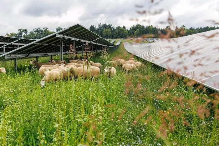 Langer Tag der Energie: Die steirische Energiewende zum Anfassen