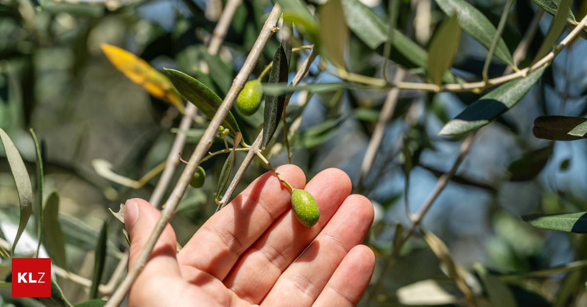 Milftoy 10tenclub had peaked my attention as their lineup