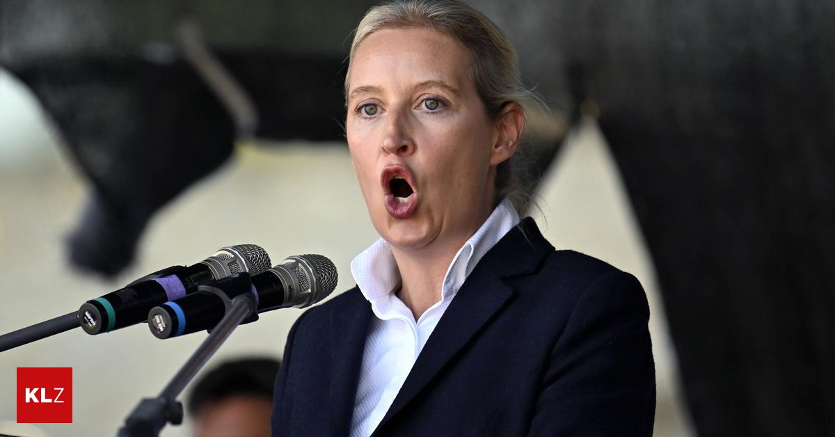 Wahlkampf in Deutschland: AfD will raus aus EU, Euro, Nato und ...