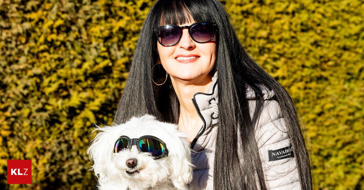 Ernster Hintergrund: Immer mehr Hunde in Kärnten mit Brille unterwegs