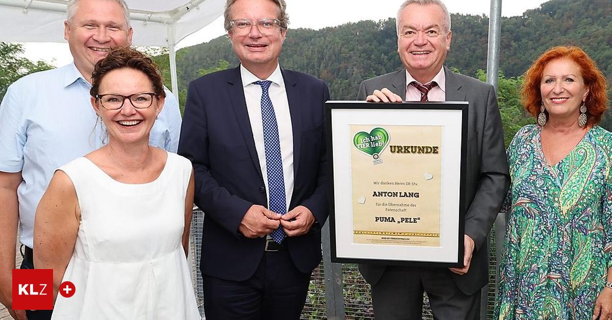 Getzinger nach Herberstein: Wolkner-Steinberger: "Habe mich zwar ...