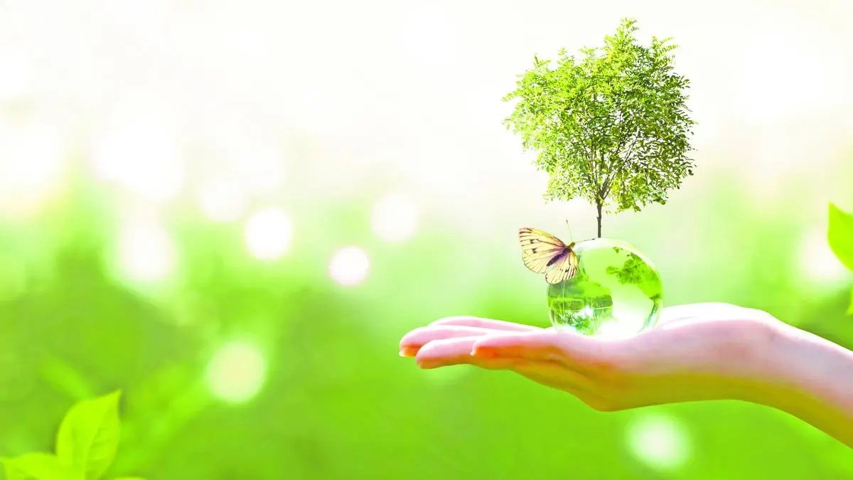 „Probier mal“: Pionierprojekt: Stadt Graz bietet als erste Stadt ...