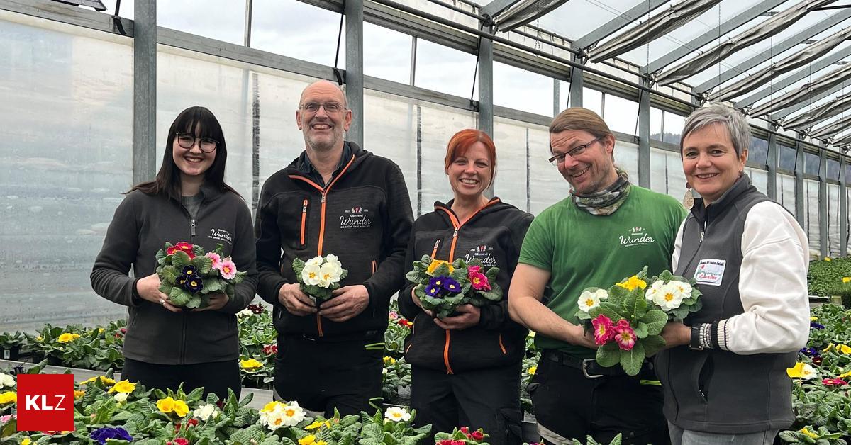 Kärntner auf Instagram: TikTok-Trend: „Wir sind Gärtner, natürlich sind ...