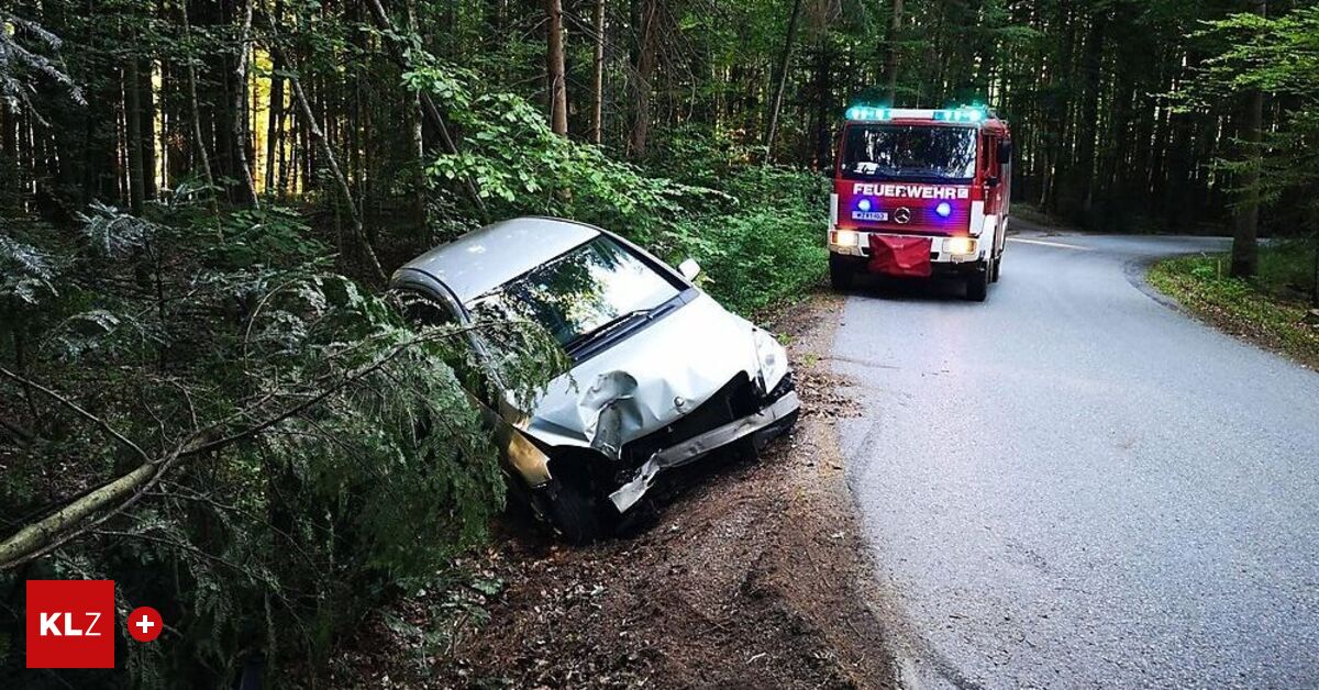 St. Ruprecht an der Raab: Alkolenker raste in Wald, stieg aus und ging ...