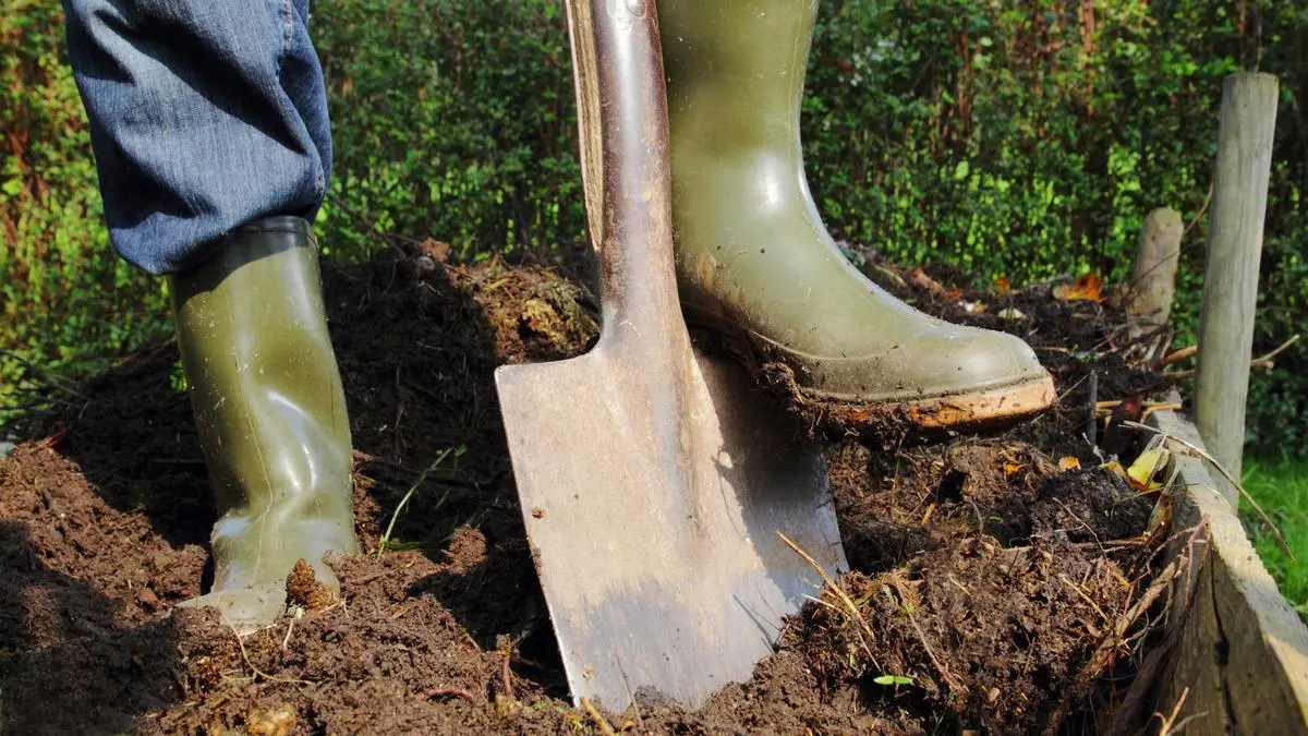 Tumult im Gericht: Weststeirerin riss Pflanzen in Nachbars Garten aus