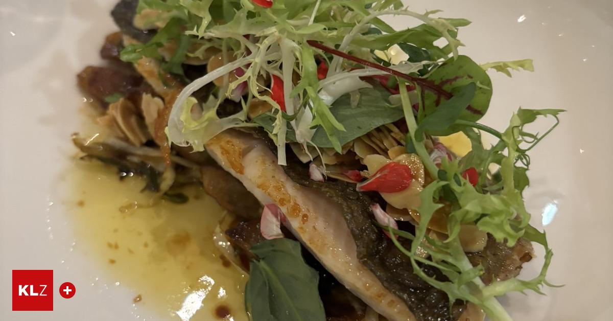 Kulinarix: Wallners Rooftop-Bar Marie: Top-Kulinarik über Klagenfurts Dächern