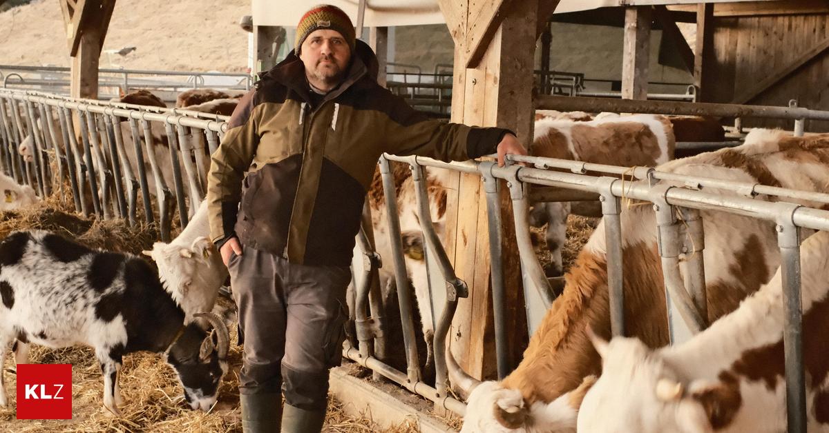 Milchpreis nach Haltungsform: „Die, die jetzt jammern, sind seit 20 ...