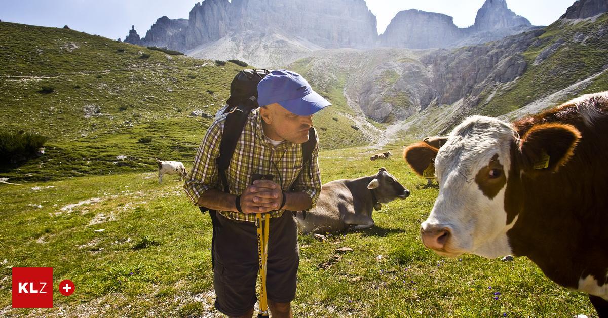 Bokep indo nesia terbaru the images on the website are