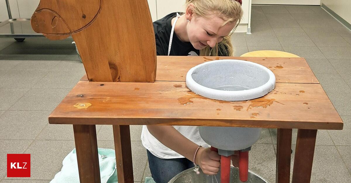 Beim Milch-Workshop konnten die Schüler sogar selbst melken