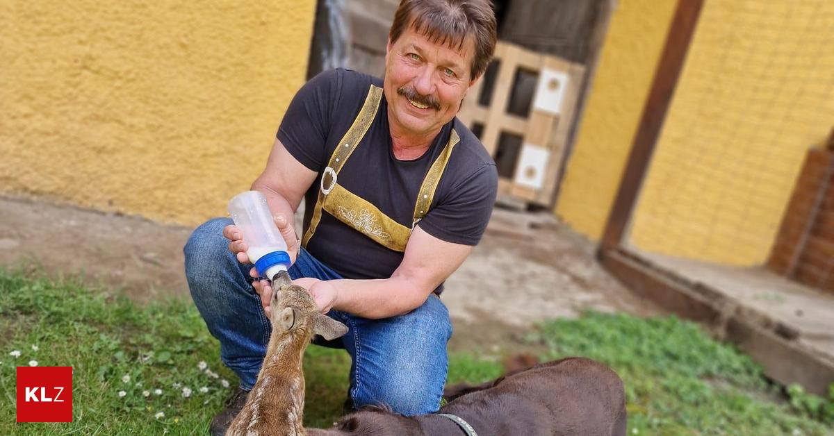 Jäger hilft mit Flasche: Jagdhund „adoptiert“ neugeborenes Rehkitz