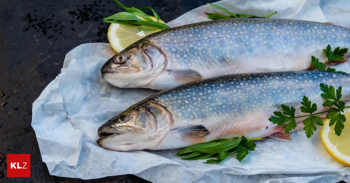 Rezept: Seesaibling mit Kohlrabigemüse