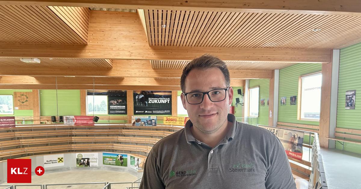 Zuchtberatung und Versteigerung: Rinderzuchtzentrum Traboch spielt die ...