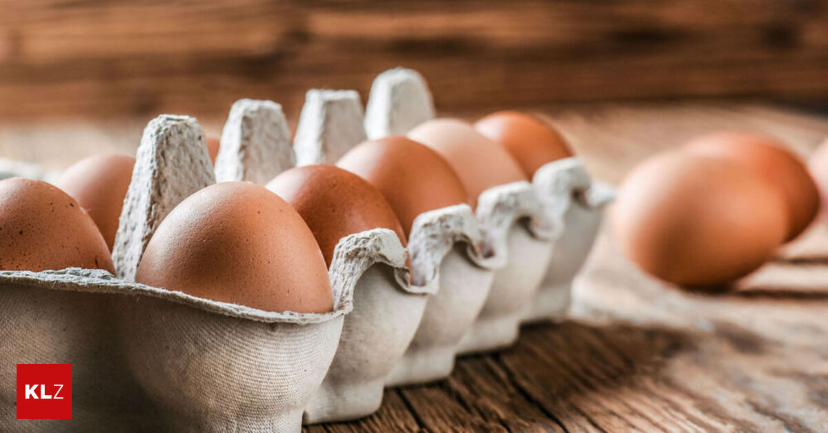Preise legen deutlich zu: Eier kosten um 30 Prozent mehr, Bauern ...