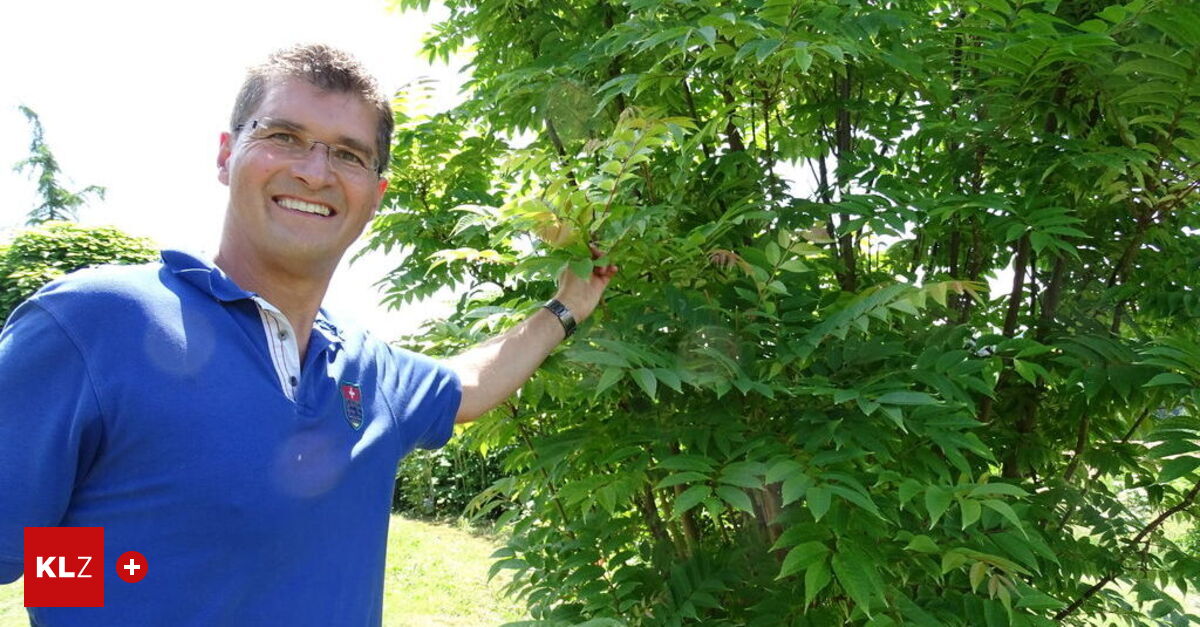 Gartenlust-Feste: Hineinspaziert in die Gärten!