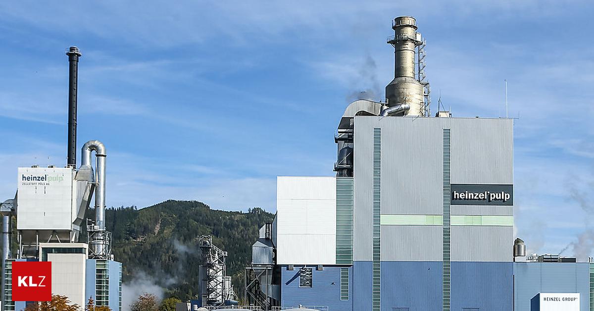 Sebastian Heinzel neuer CEO: Heinzel Group: Chefwechsel und zweitbestes ...