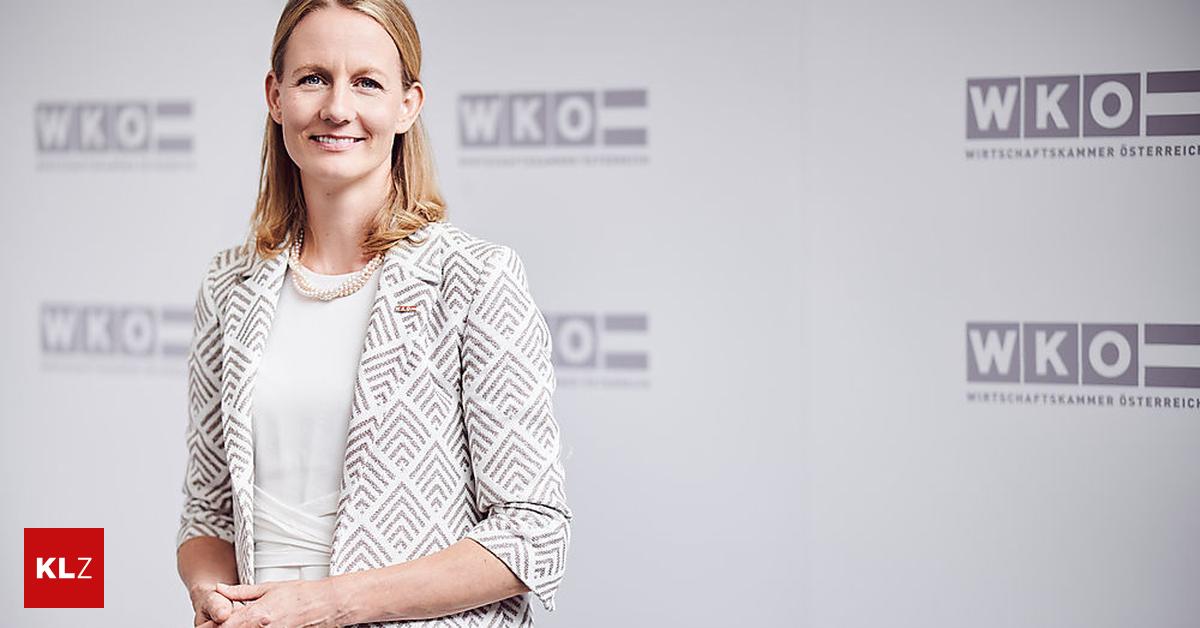 WKÖ-Vizepräsidentin Carmen Goby: "Jeder in Kinderbetreuung investierte Euro kommt achtmal zurück"