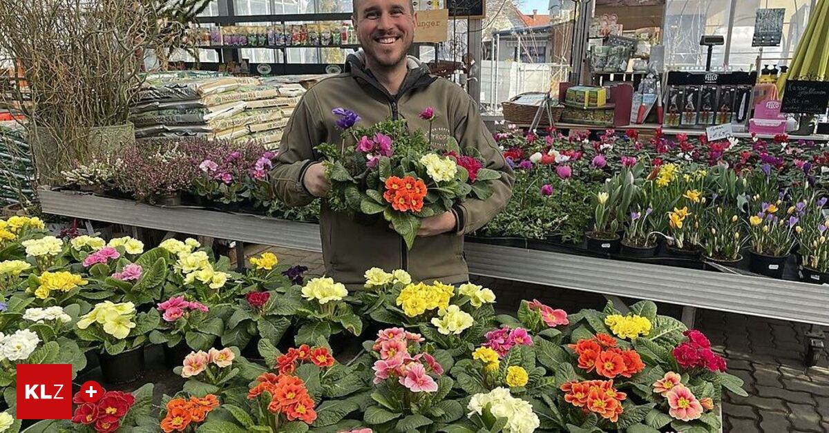 Gärtnerei Tropp: Wo 600 Sorten Blumen und Gemüsepflanzen regional wachsen