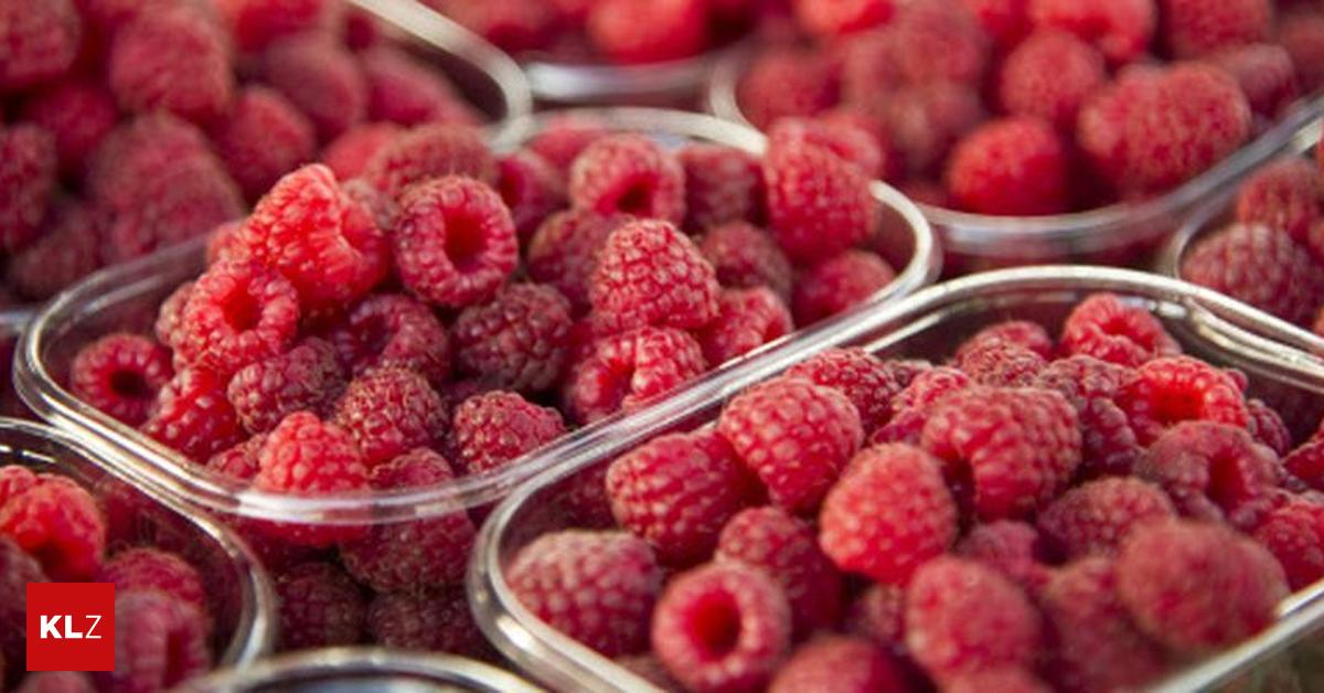 Nachrichten in einfacher Sprache: In Maria Saal kann man schon ...