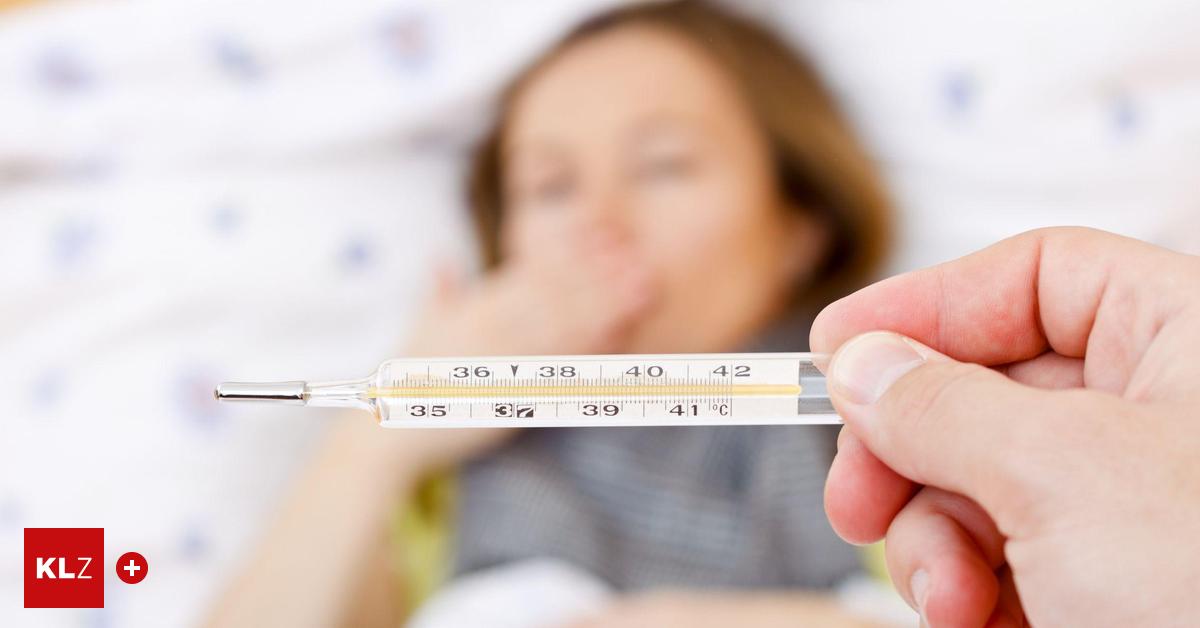 Infekte und Co : 40.000 Steirer im Krankenstand: Grippewelle hat das ...