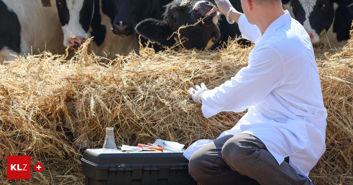 Landtag fordert Tierhalteverbot: „Das ist eine Farce“