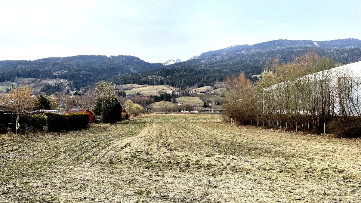 Streit um Grundstückskäufe: Im Triebener Gemeinderat herrscht wieder ...