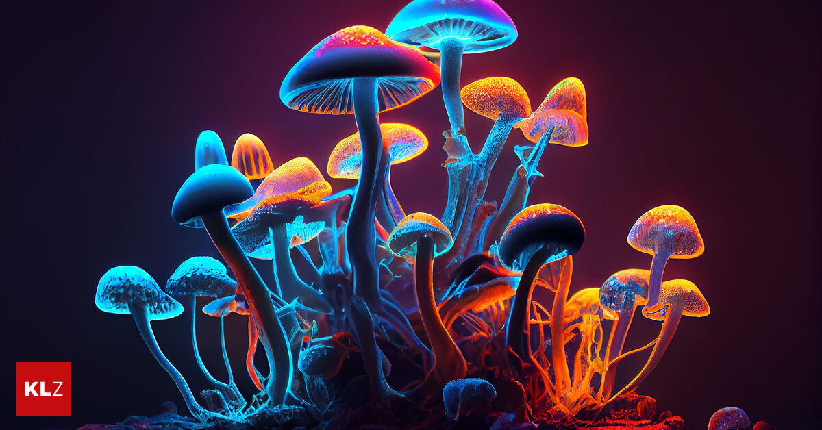 Hoffnungsträger Psilocybin: Können "Magic Mushrooms" die Psychiatrie ...