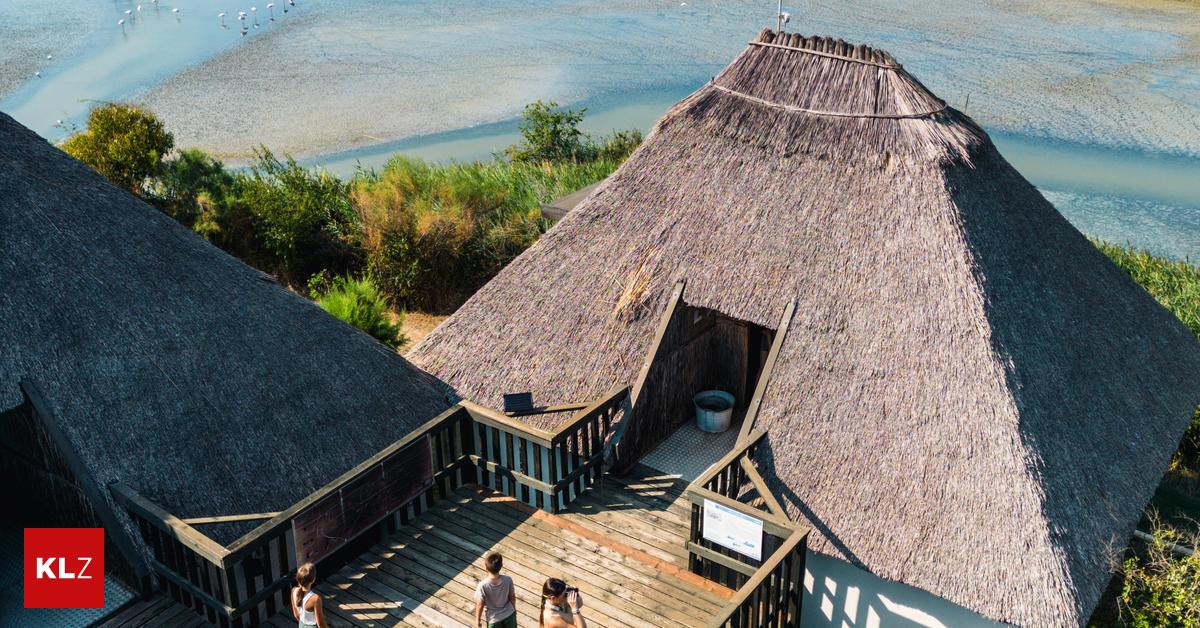 Friaul-Julisch Venetien: Lagunenzauber an der Oberen Adria