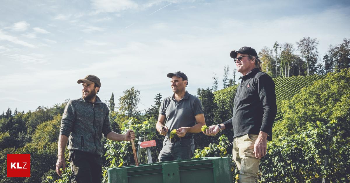 Herkunft.Charakter.Starke Weine seit 1822: Weingut Peter Skoff – Domäne ...