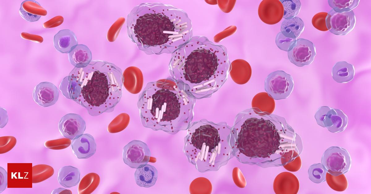 Symptome, Verlauf, Behandlung: Was man über Leukämie wissen sollte