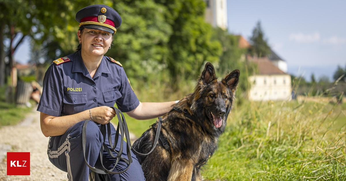IT-Forensiker: Kampf gegen Cyberkriminalität und neue Herausforderungen