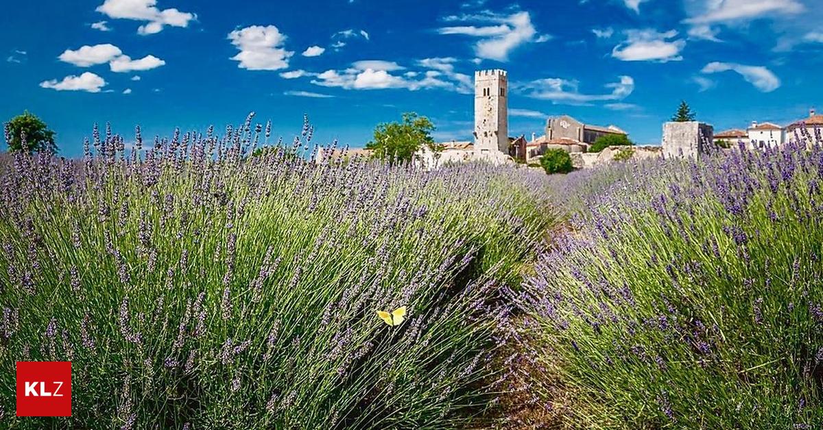 Das ist einzigartig: Vier Tipps, um Istrien einmal ganz anders zu erleben