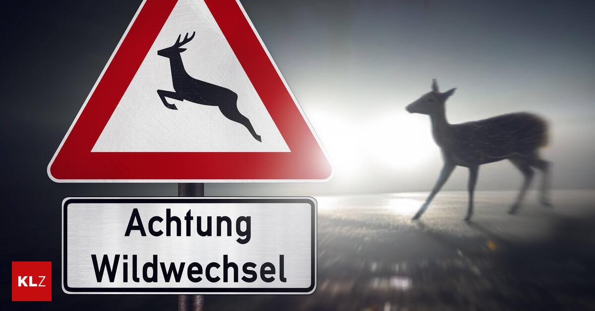 Hattie james full porn her appearance resembles a bikini