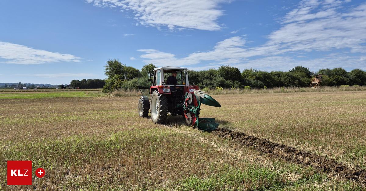 Landwirtschaftskammerwahl: Fünf Listen treten in Deutschlandsberg an