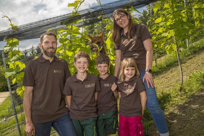 Winzerfamilie Strutz: Nur die süßen Alpakas verschmähen ihren ...