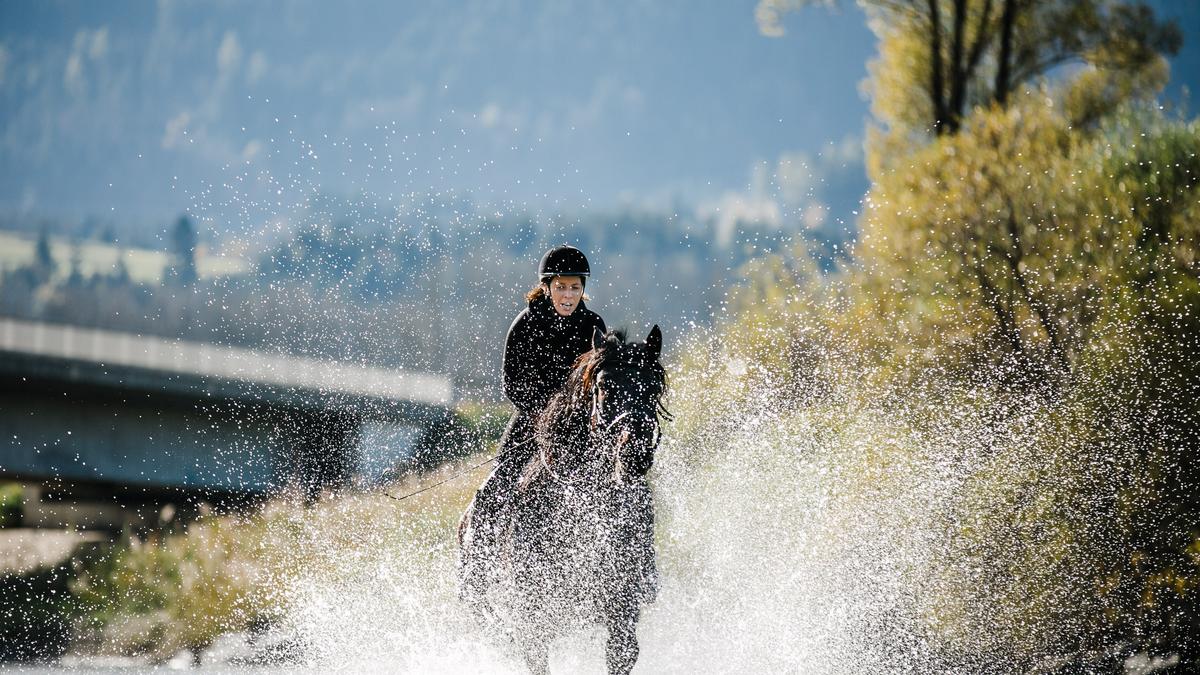 Reitsport: Zwei Bundesmeistertitel für die Familie Gastager