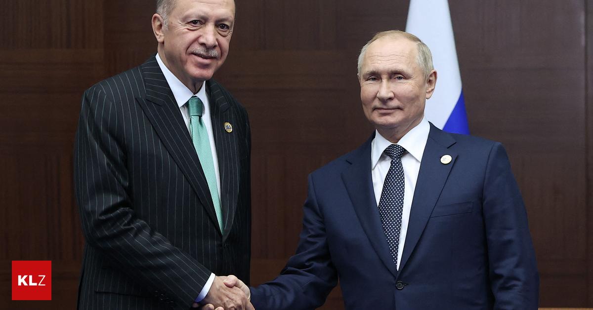 "Turkstream sicherste Route": Putin schlägt Türkei neue Pipeline und ...