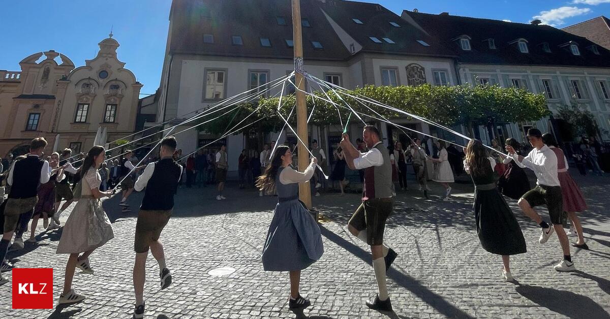 Hartberg: Maibaumstellen mit Muskelschmalz und Teamwork
