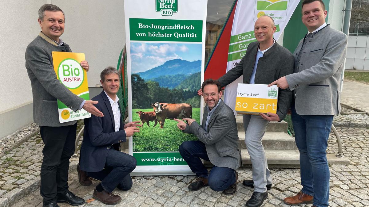 Klimasünder Bio-Kuh?: Weststeirischer Bio-Bauer will nicht, dass Bio ...