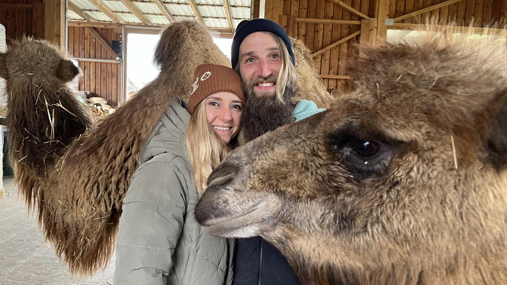 Kamel-Baby wird erwartet: Wenn aus „Flascherlbabys“ ganz besondere ...