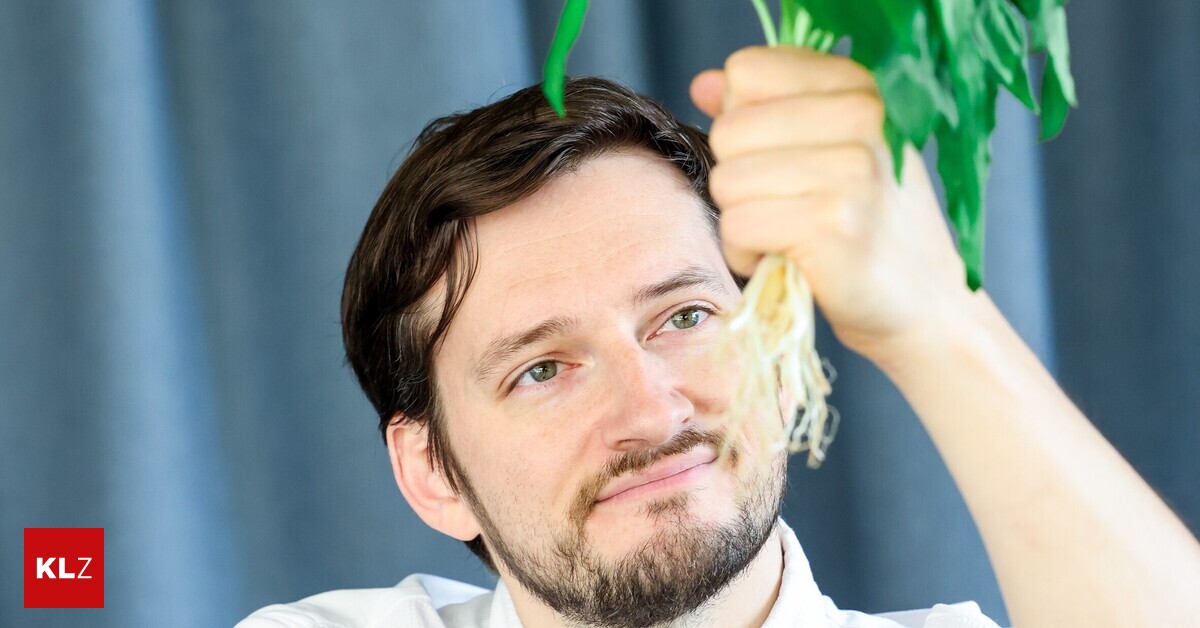 Geschmacksbombe: Christoph Mandl verarbeitet alles vom Bärlauch