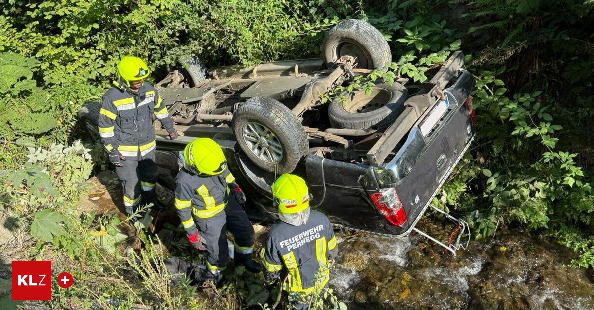 Auto landete am Dach im Bach – Lenker und Hunde eingeklemmt