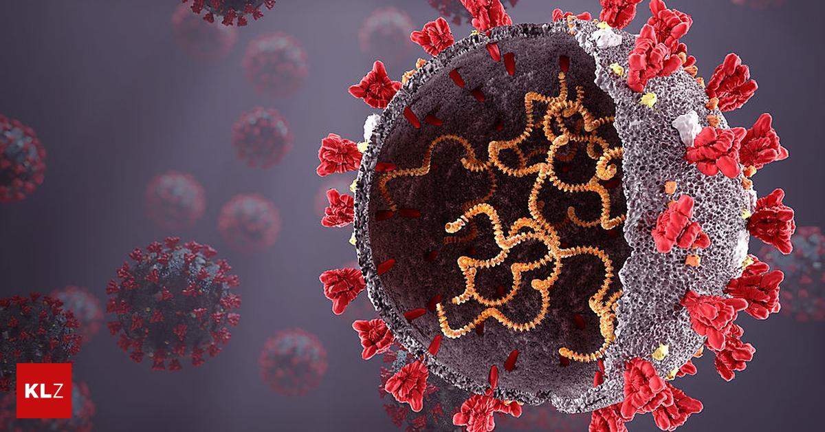 Frage & Antwort: Düstere Prognose: Britische Virus-Mutation wird in ...