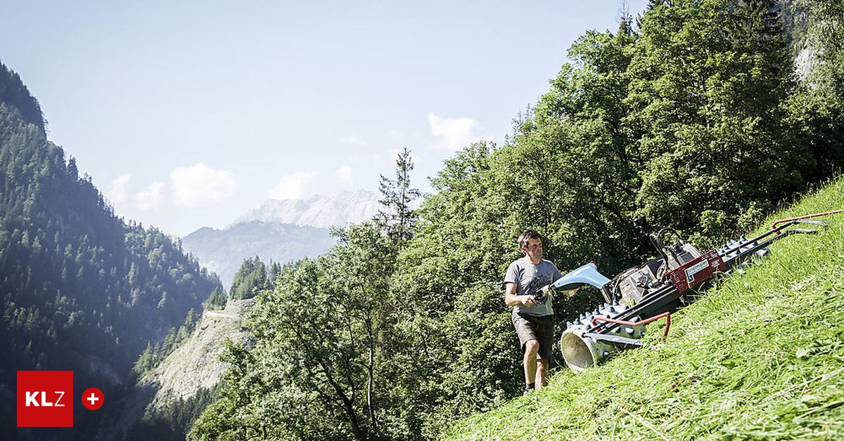 Servus TV: Heimatleuchten auf der Alm