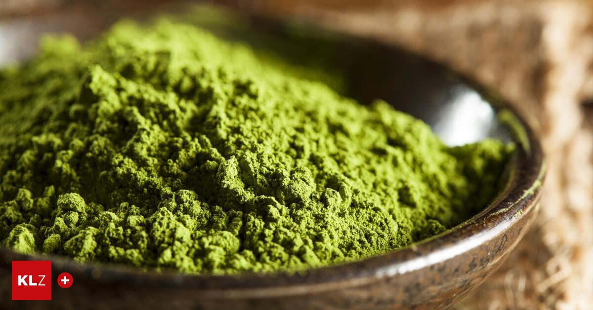 Das grüne Gold: Der Matcha-Boom und seine bitteren Folgen
