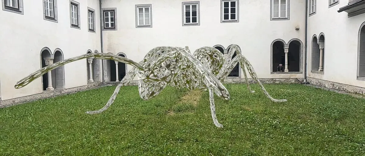 Kleine Zeitung Oberkärnten – Aktuelle News