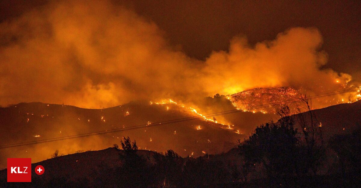 Gefahr im Sommer hoch: Das sind Europas sechs Rezepte gegen Waldbrände