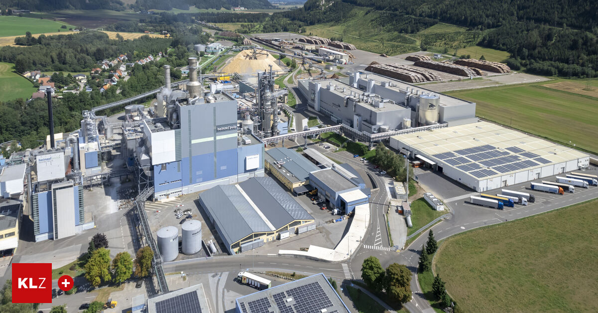 Papier und Nachhaltigkeit: Geführte Werkstouren: Interessierte erhalten ...