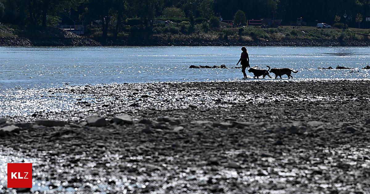 35 Grad und mehr: Nächste Hitzewelle im Anrollen – kein Ende der Trockenheit in Sicht