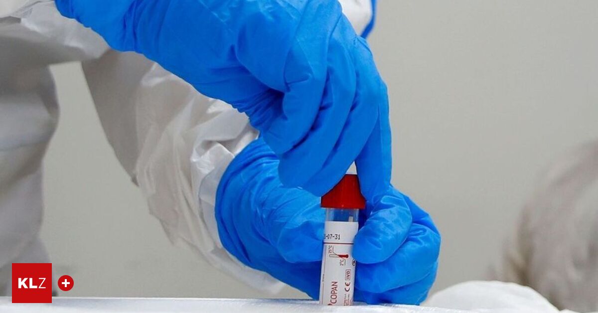 Covid 19 in der Steiermark: Programm zum Eintragen der Test-Ergebnisse ...